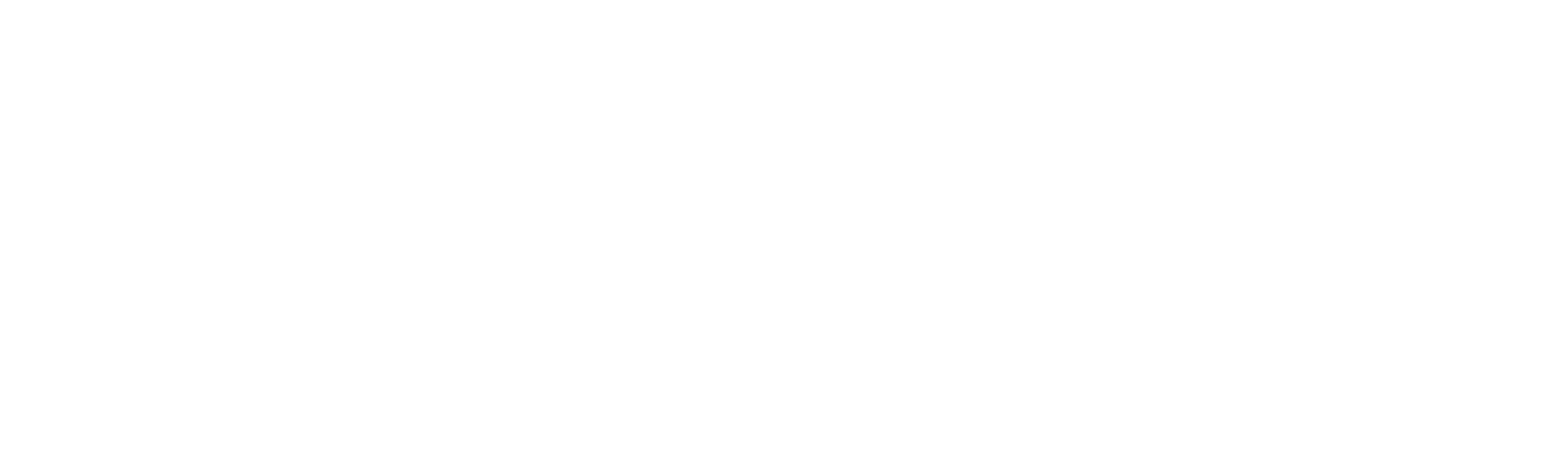 Lineup | Veld Music Festival